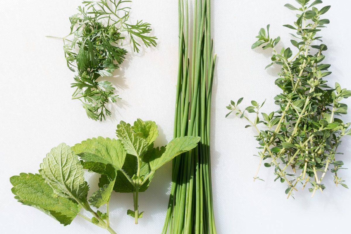 It's Not Too Late! Plant Autumn Herbs and Spices Now - Living Clean